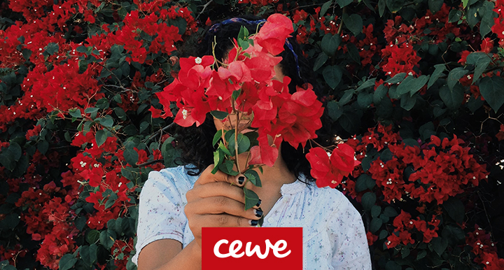 Usługi fotograficzne i sprzęt fotograficzny | CEWE FOTOJOKER